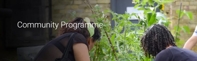 Marsh Charitable Trust – Marsh Volunteer Awards for Grow Wild Projects ...